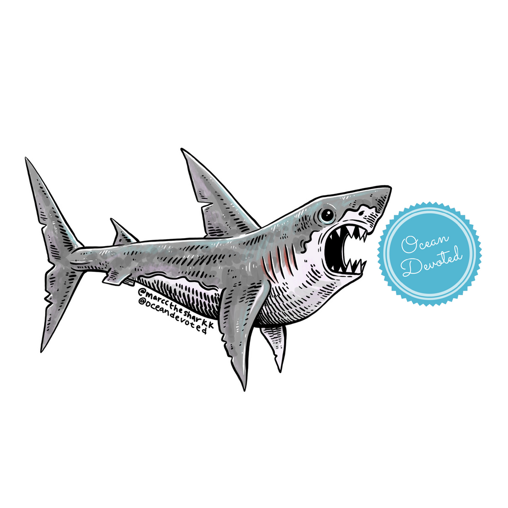Sharky Sticker – Ocean Devoted