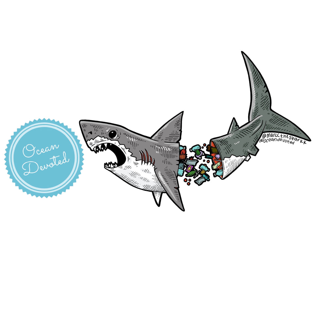 Recycle Shark – Ocean Devoted
